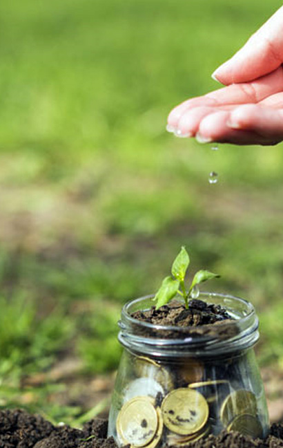 Volunteer – Sustainable Education & Enterprise Development (SEED)